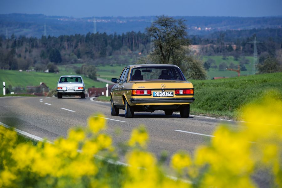 Mercedes W123, the precursor to the E-Class, turns 50